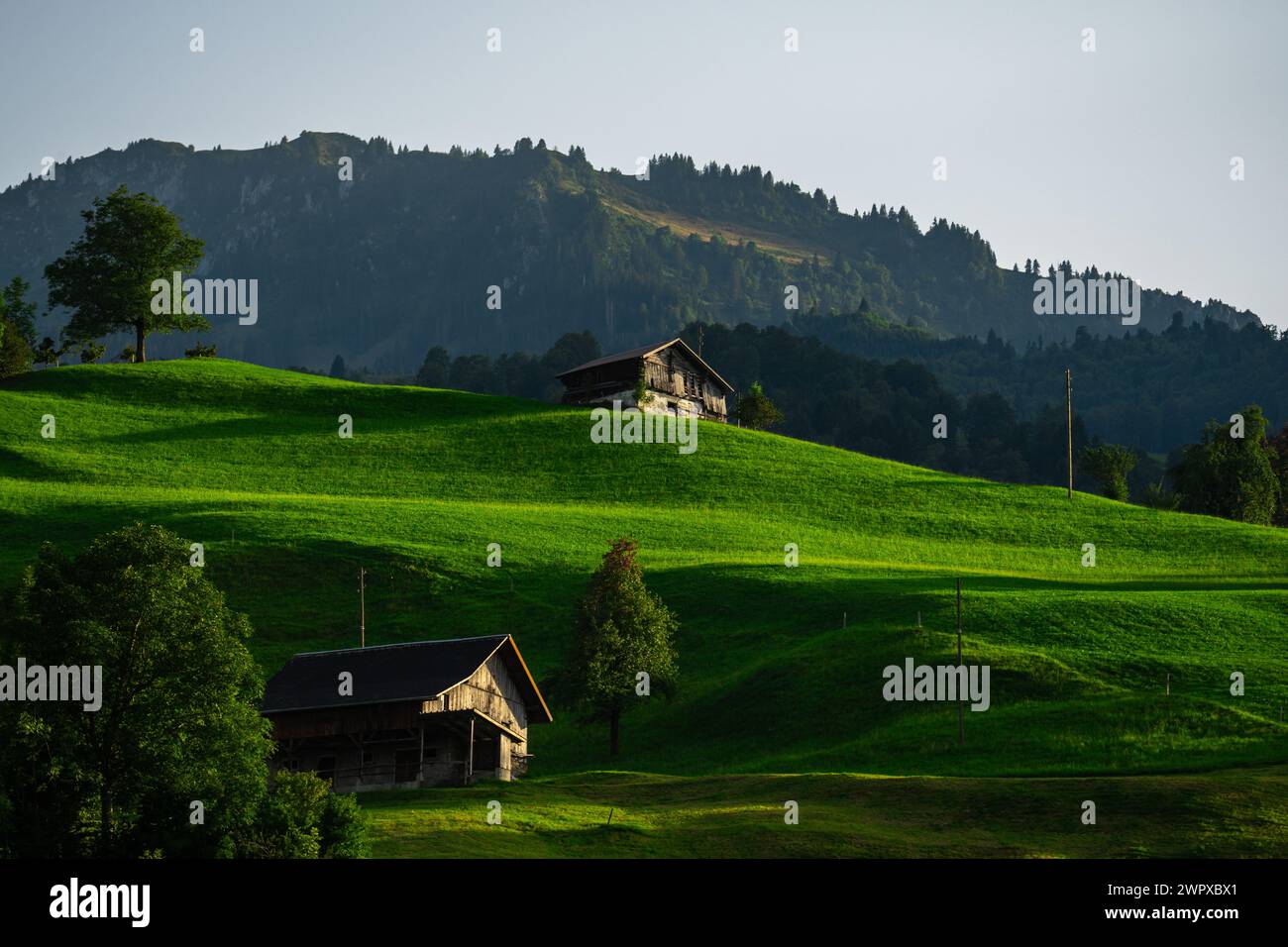 Old house, old building, historical retro architecture, traditional ...