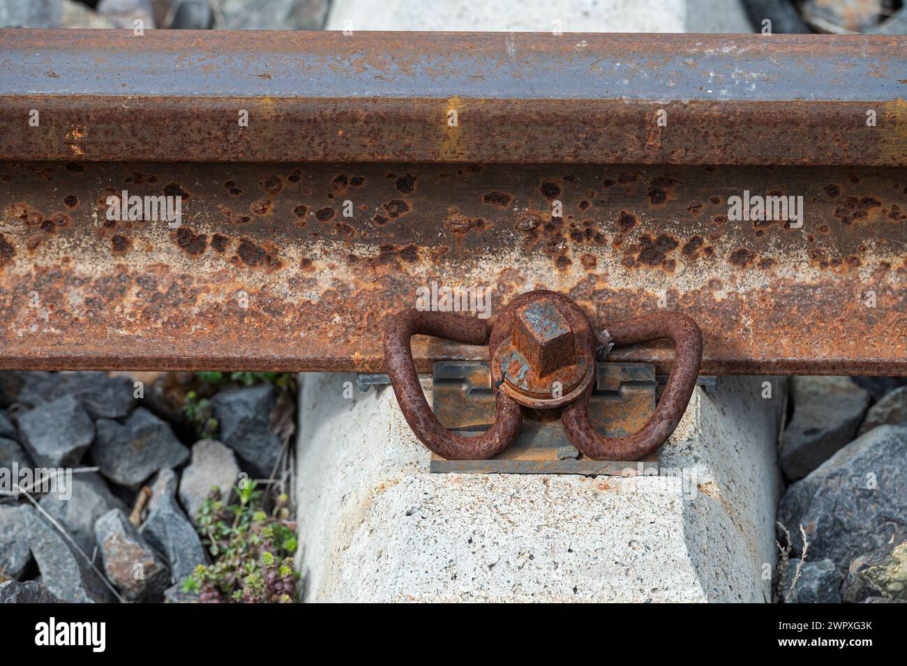 Iron connection apparatus connecting the rail to the sleeper on the ...