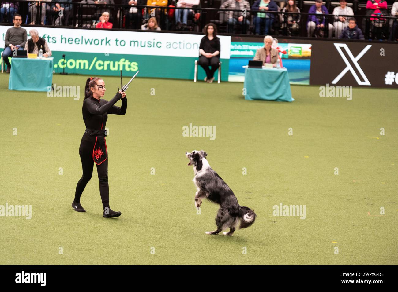 Crufts 2024 main arena hi-res stock photography and images - Alamy