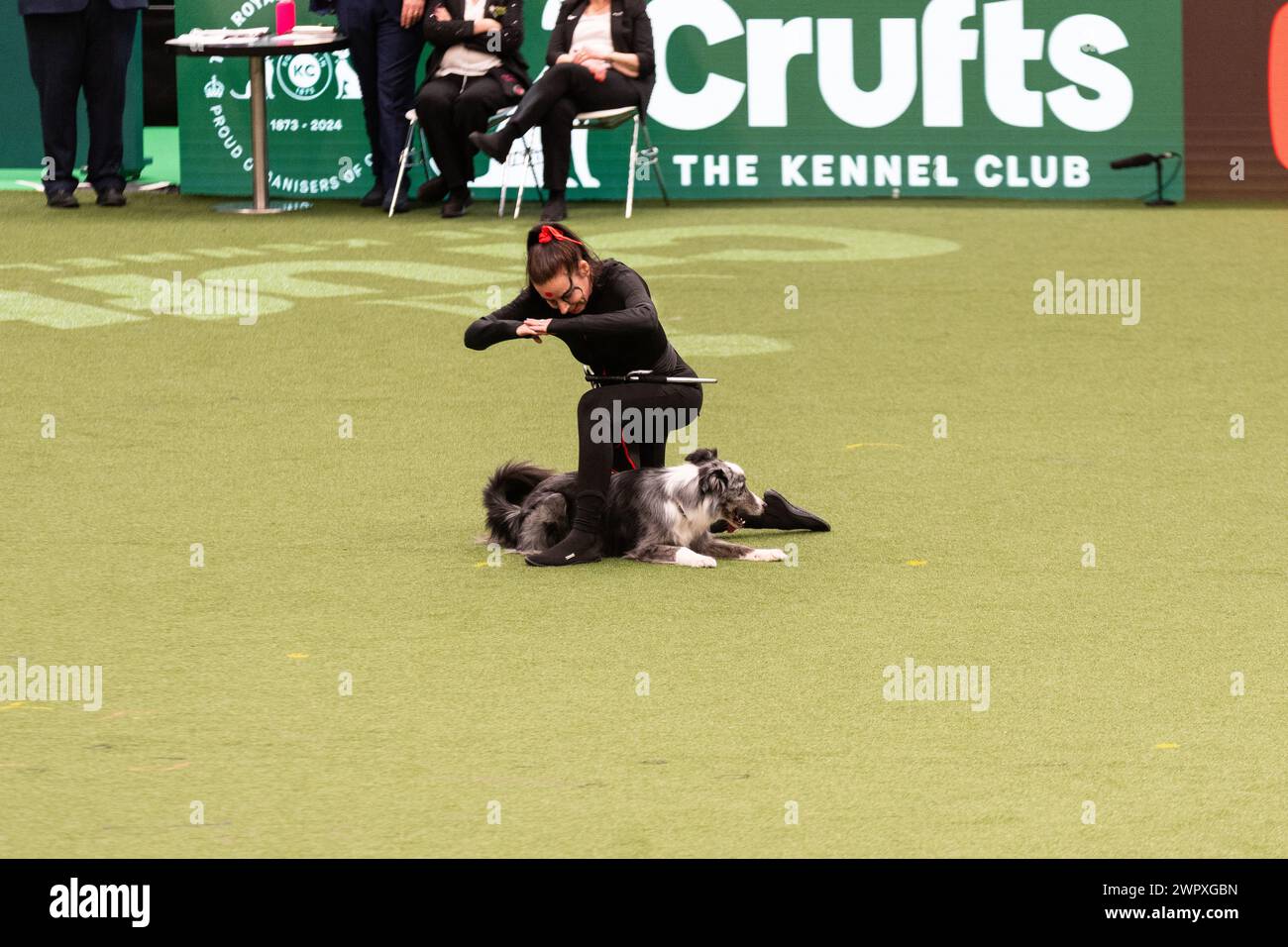 Birmingham UK. 9th March 2024. Crufts 2024 Internatonal Freestyle ...
