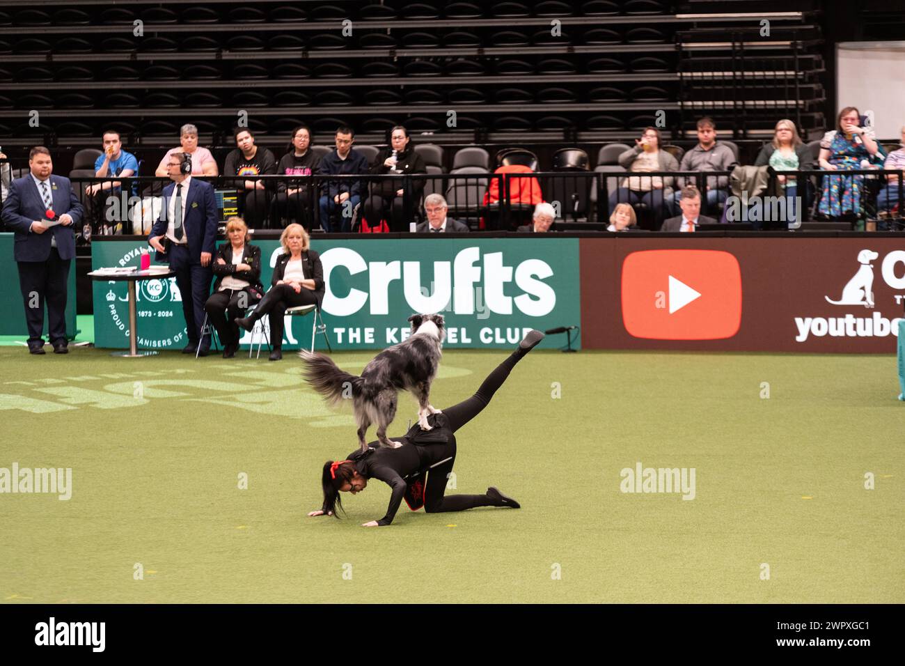 Birmingham UK. 9th March 2024. Crufts 2024 Internatonal Freestyle ...