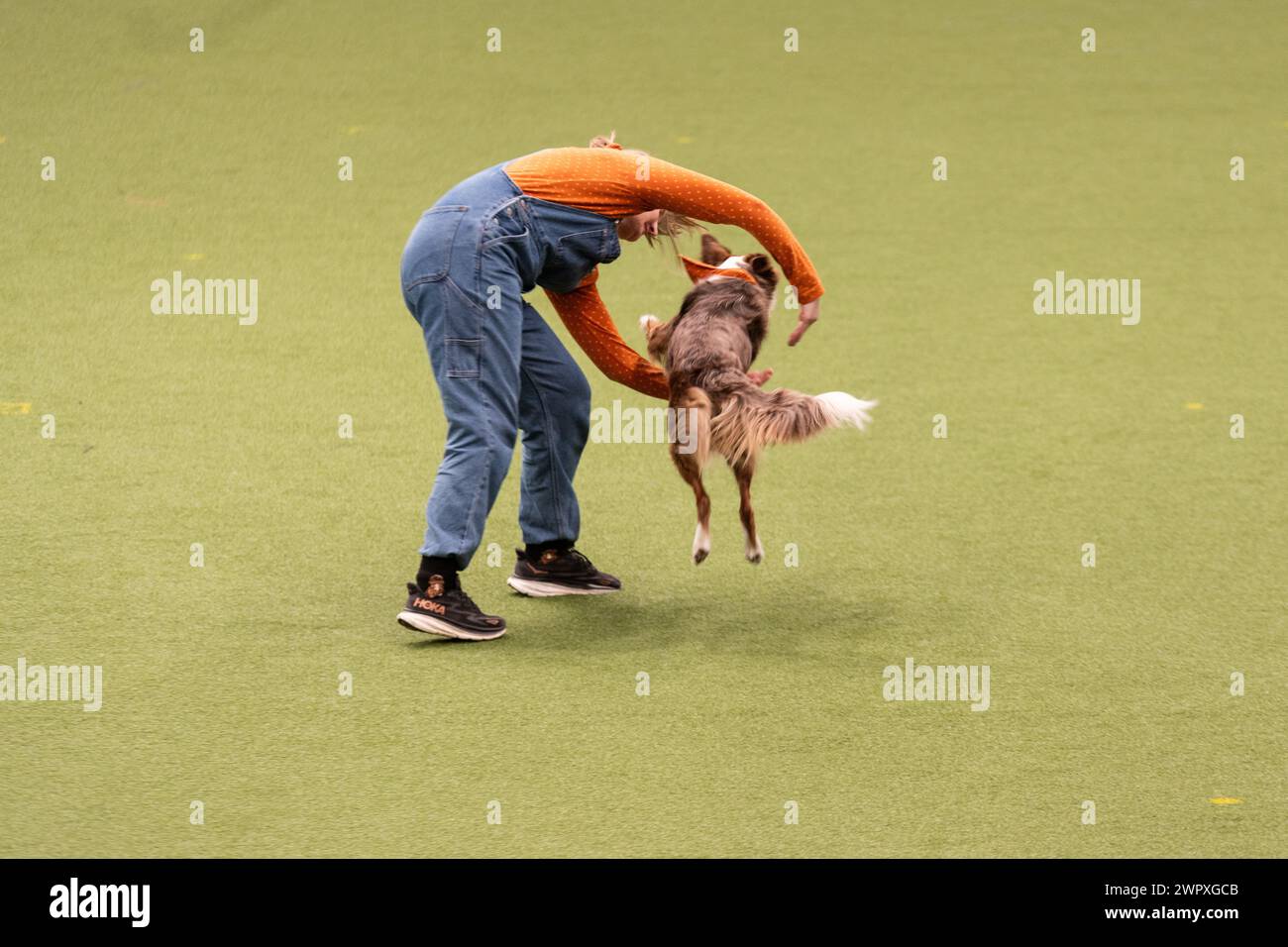 Birmingham UK. 9th March 2024. Crufts 2024 Internatonal Freestyle ...