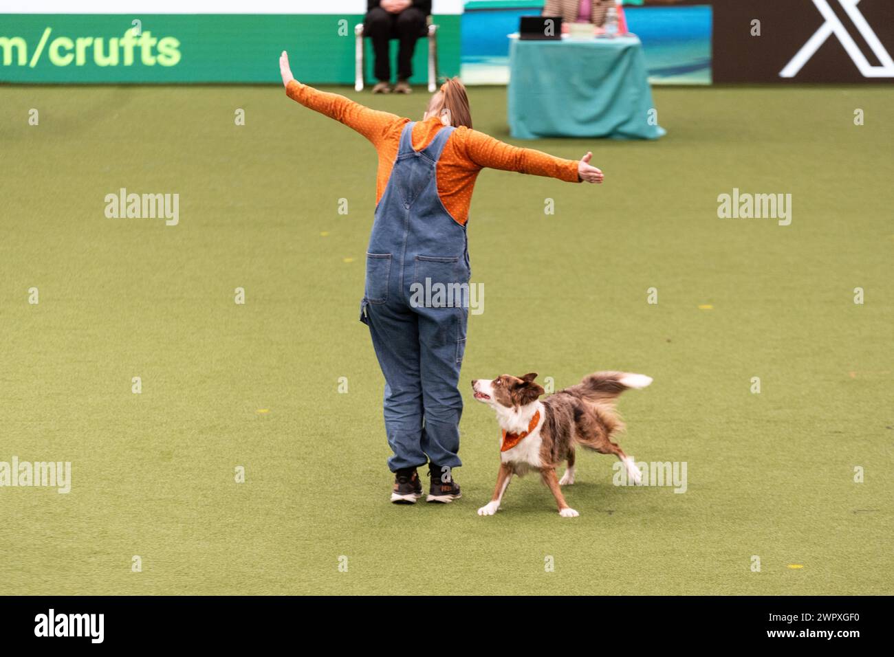 Crufts 2024 main arena hi-res stock photography and images - Alamy