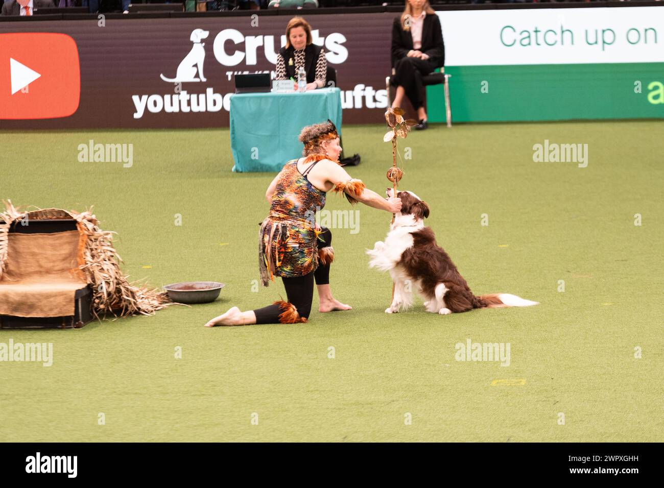 Crufts 2024 main arena hi-res stock photography and images - Alamy