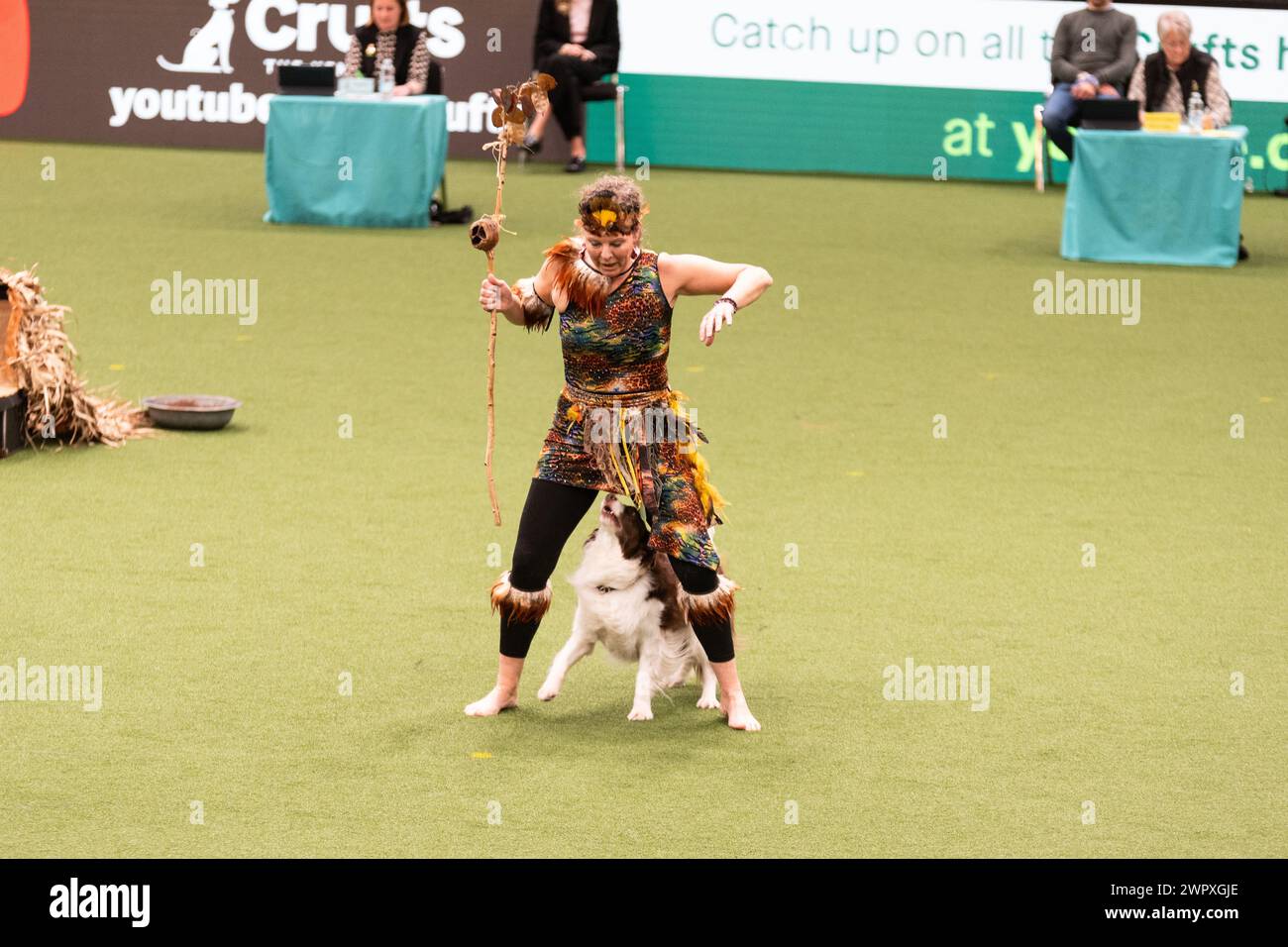 Crufts 2024 main arena hi-res stock photography and images - Alamy