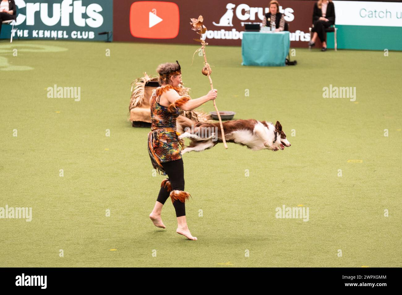 Crufts 2024 main arena hi-res stock photography and images - Alamy