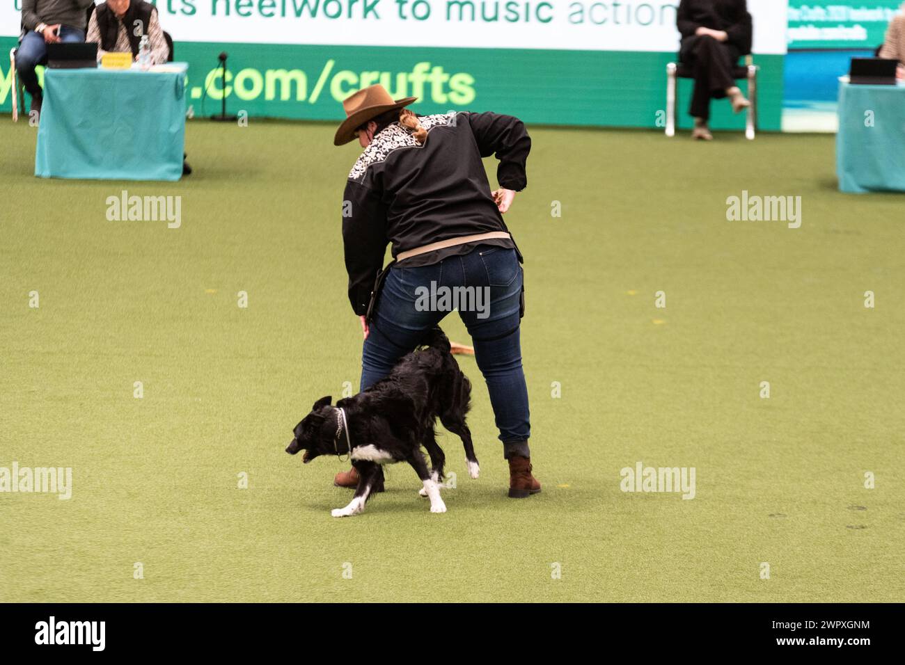 Crufts 2024 freestyle heelwork to music canada hi-res stock photography and images - Alamy
