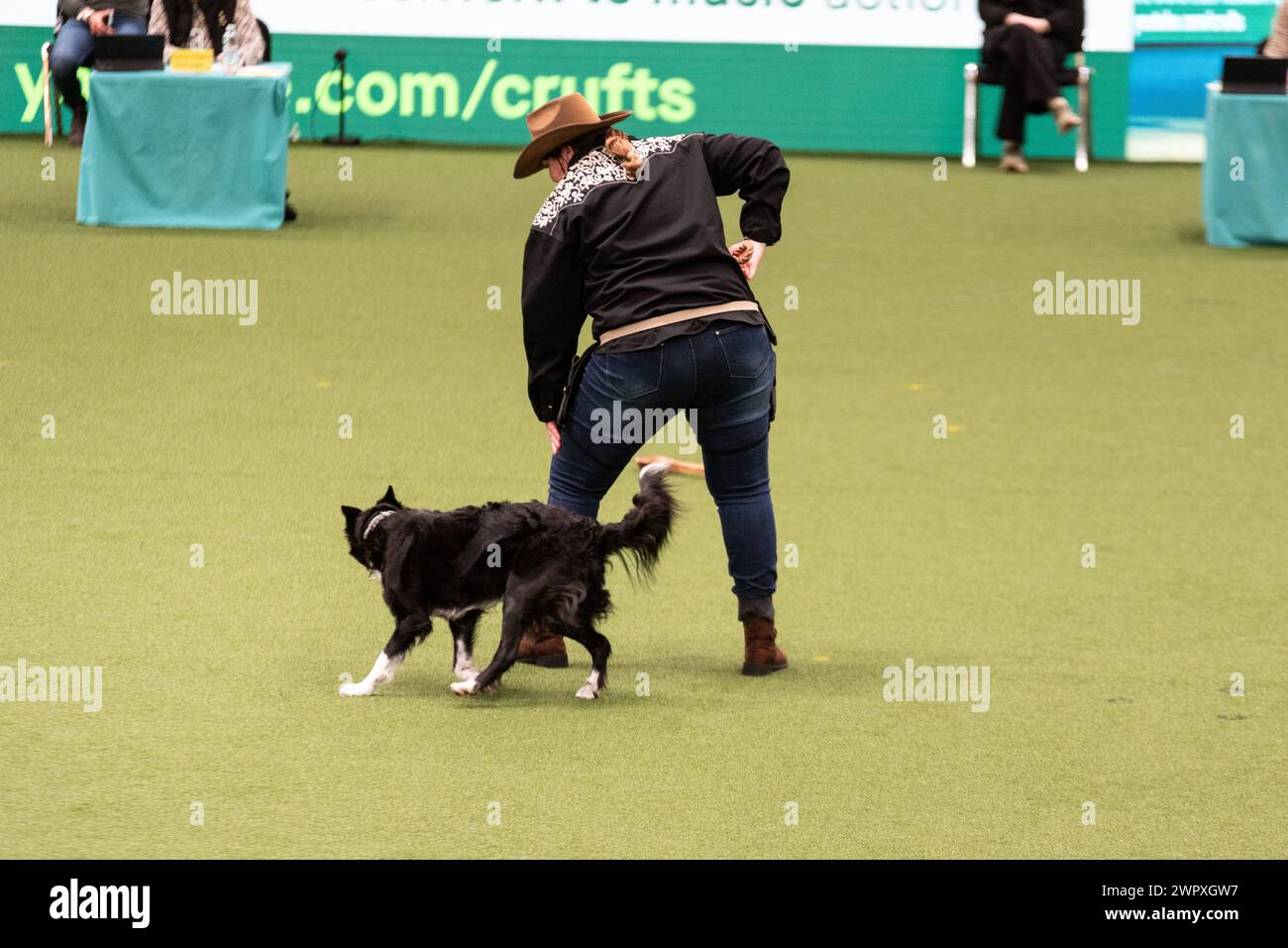 Crufts 2024 freestyle heelwork to music canada hi-res stock photography and images - Alamy