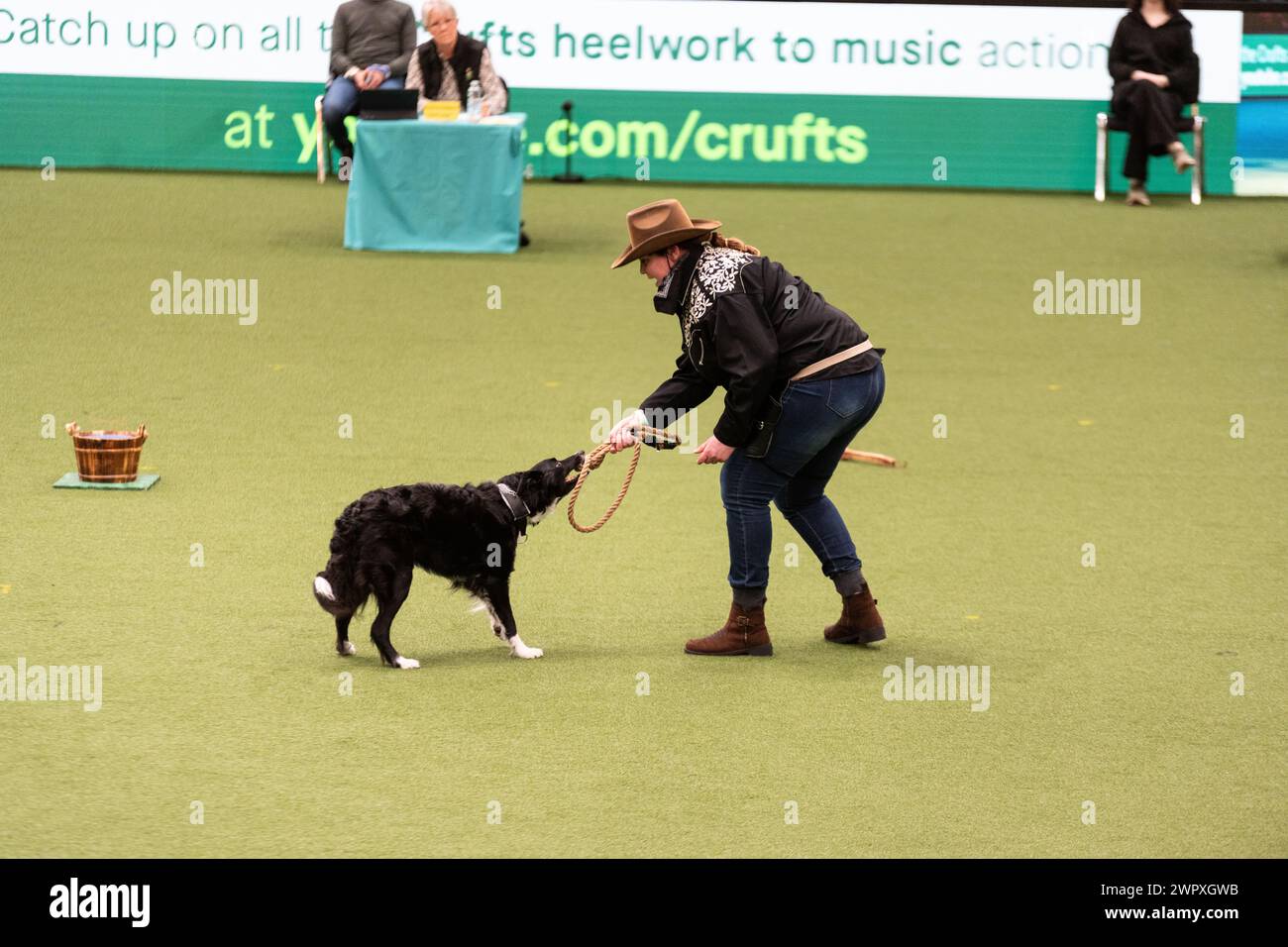 Birmingham UK. 9th March 2024. Crufts 2024 Internatonal Freestyle ...