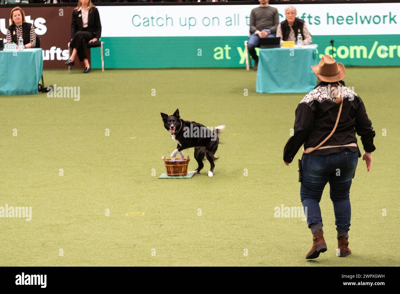 Birmingham UK. 9th March 2024. Crufts 2024 Internatonal Freestyle ...