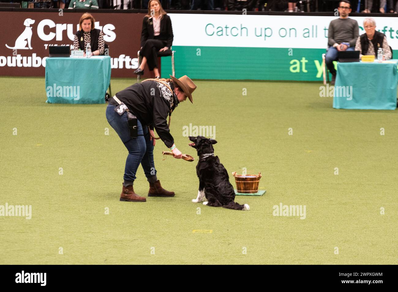 Birmingham UK. 9th March 2024. Crufts 2024 Internatonal Freestyle ...