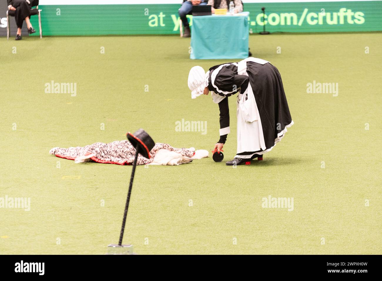 Crufts 2024 main arena hi-res stock photography and images - Alamy