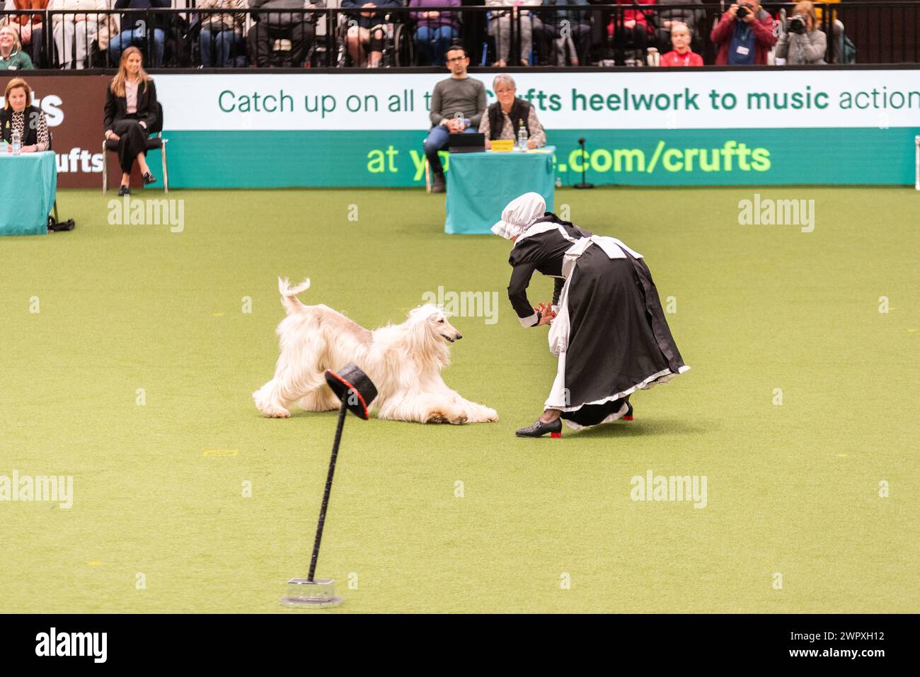 Crufts 2024 main arena hi-res stock photography and images - Alamy