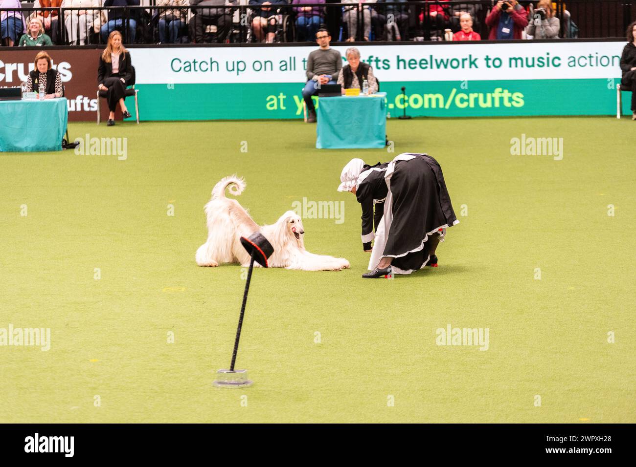 Birmingham UK. 9th March 2024. Crufts 2024 Internatonal Freestyle ...