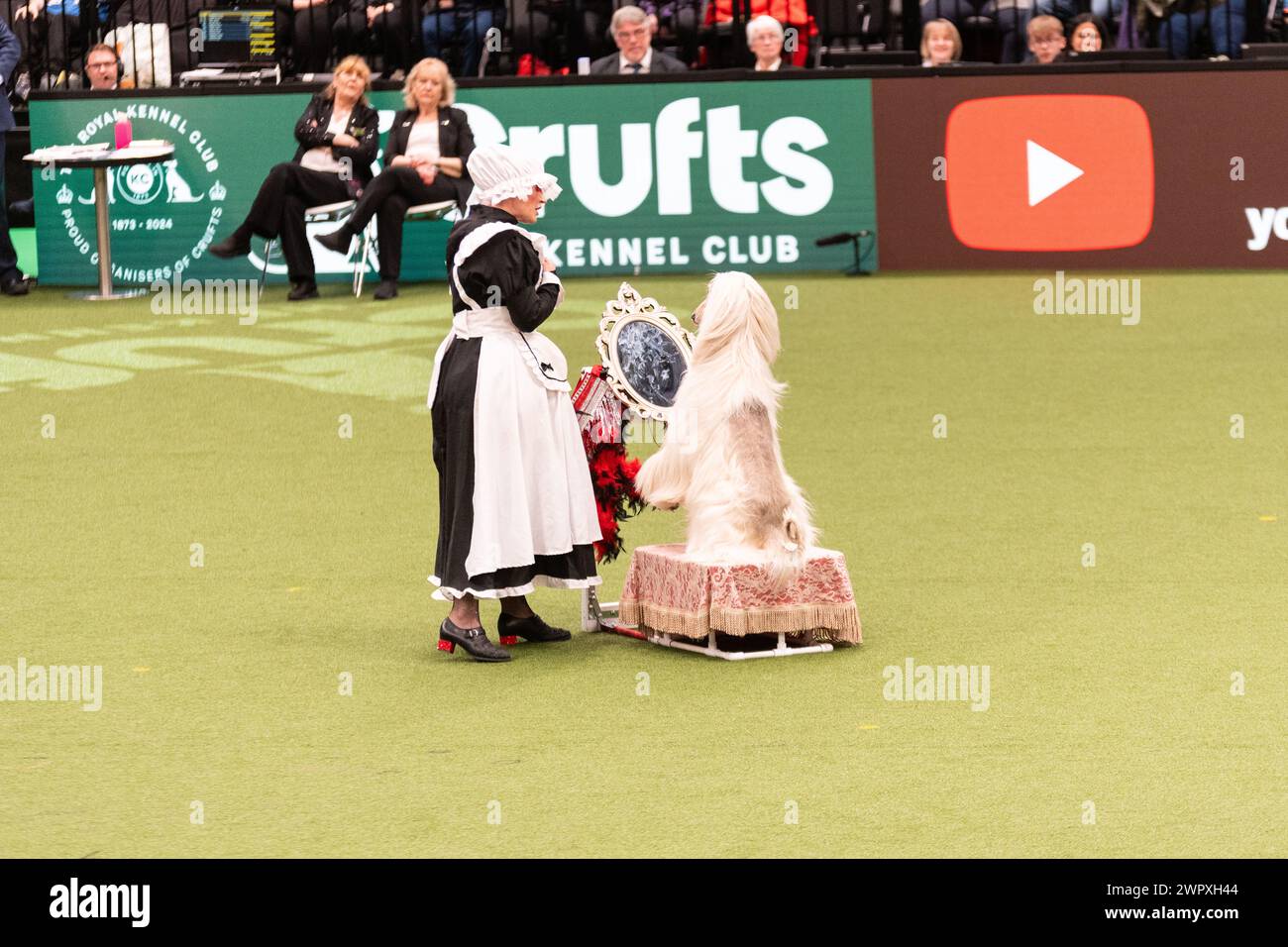 Crufts 2024 main arena hi-res stock photography and images - Alamy