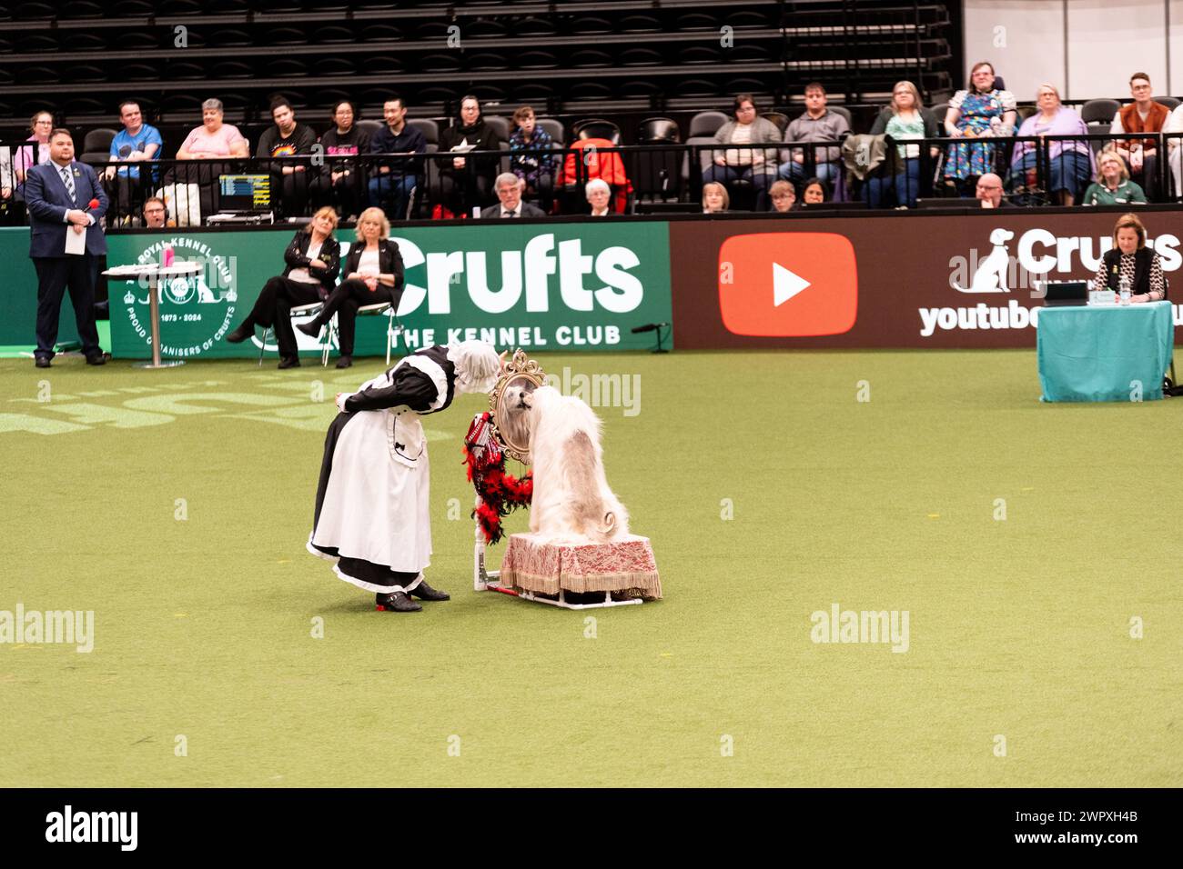 Crufts 2024 main arena hi-res stock photography and images - Alamy