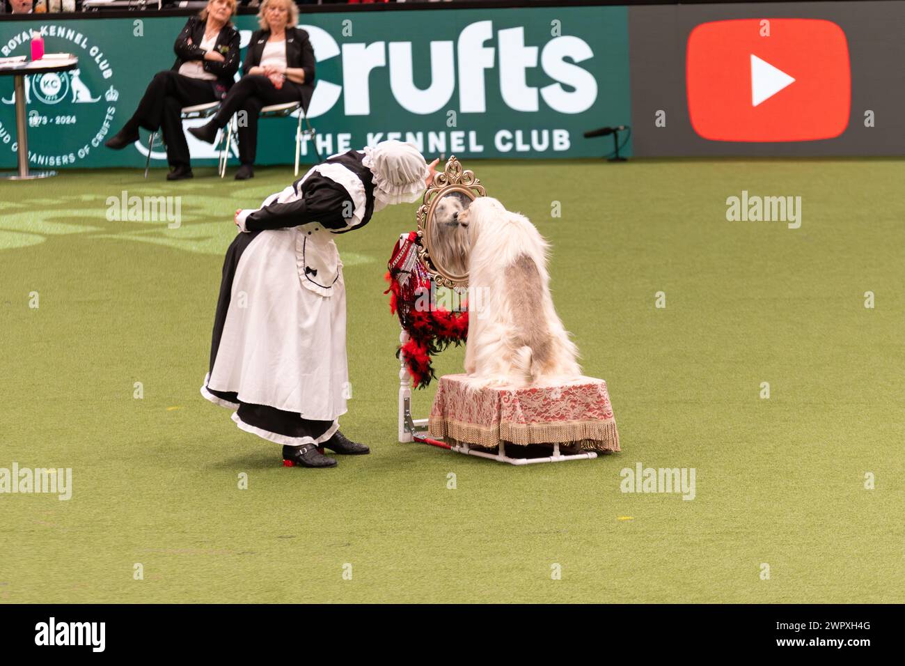 Crufts 2024 freestyle heelwork to music canada hi-res stock photography and images - Alamy