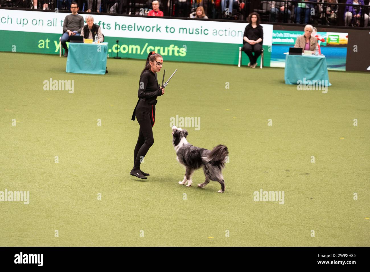 Birmingham UK. 9th March 2024. Crufts 2024 Internatonal Freestyle ...