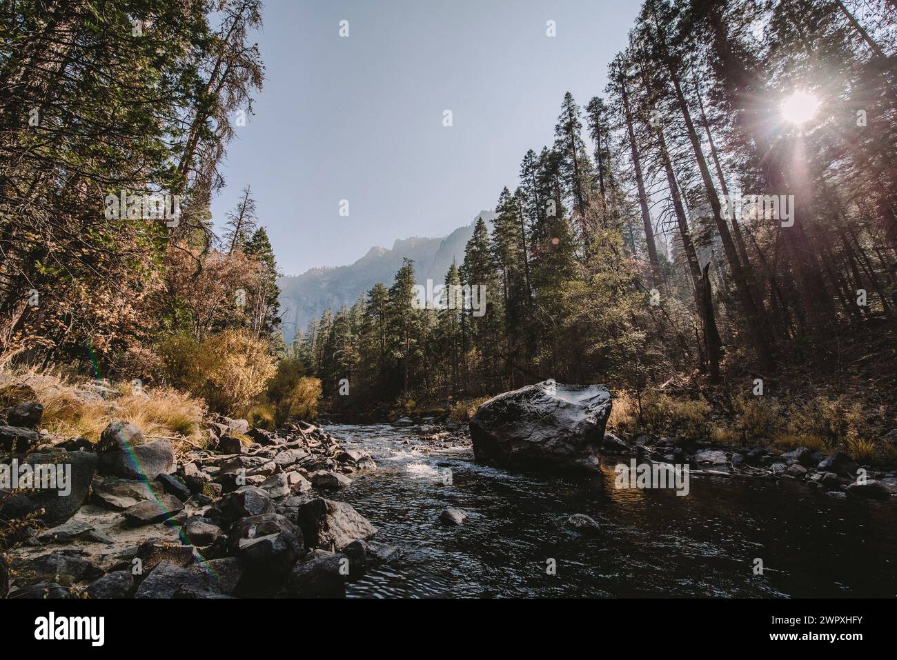 Merced river forest yosemite hi-res stock photography and images - Alamy