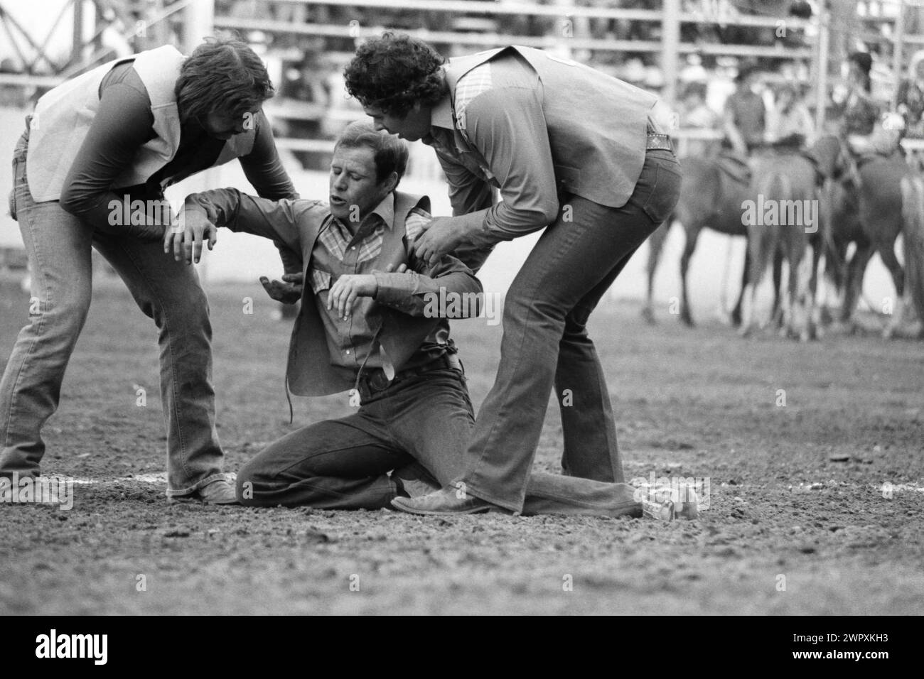 Rodeo cowboy injured at the Calgary Stampede Rodeo. Circa 1981. Alberta ...