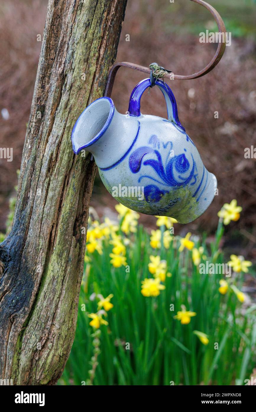 spring time in the garden Stock Photo - Alamy