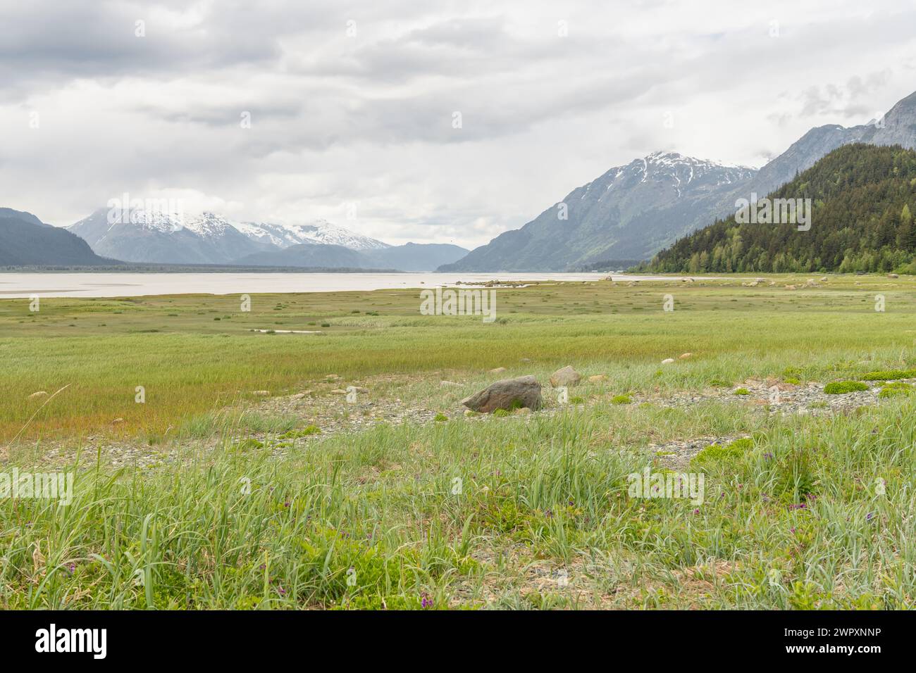 Mountains across the west arm of the Chilkat Inlet Stock Photo - Alamy