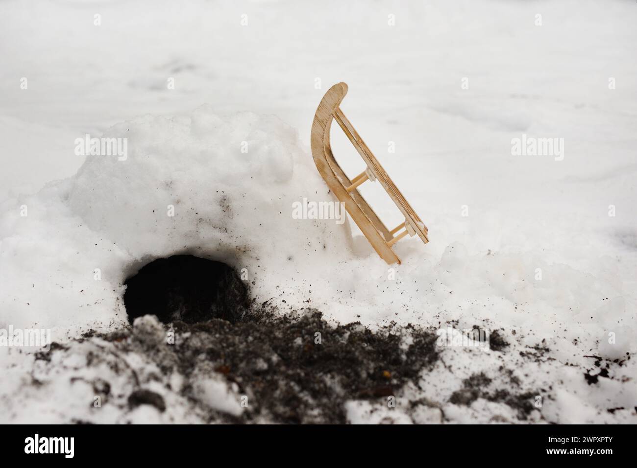 Ferret burrow made in snow igloo house with propped toboggan Stock ...