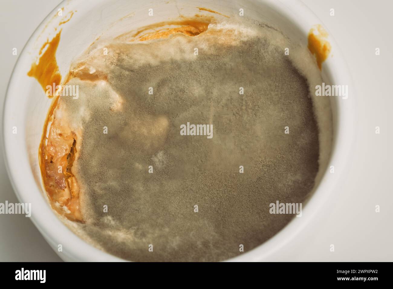Disgusting mold on food hi-res stock photography and images - Alamy