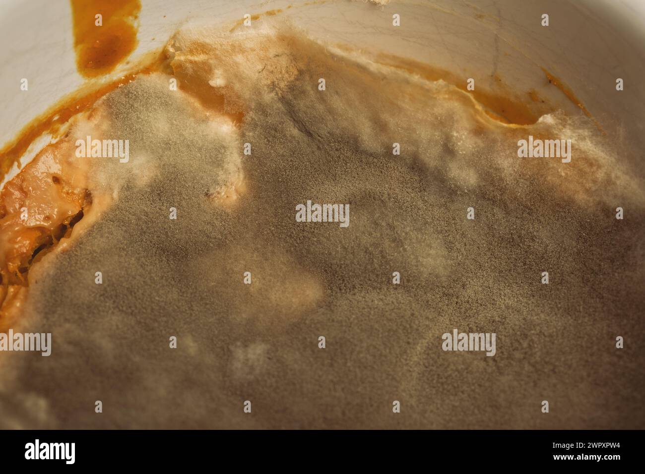 Several weeks old mold developed on rest of sauce food Stock Photo - Alamy