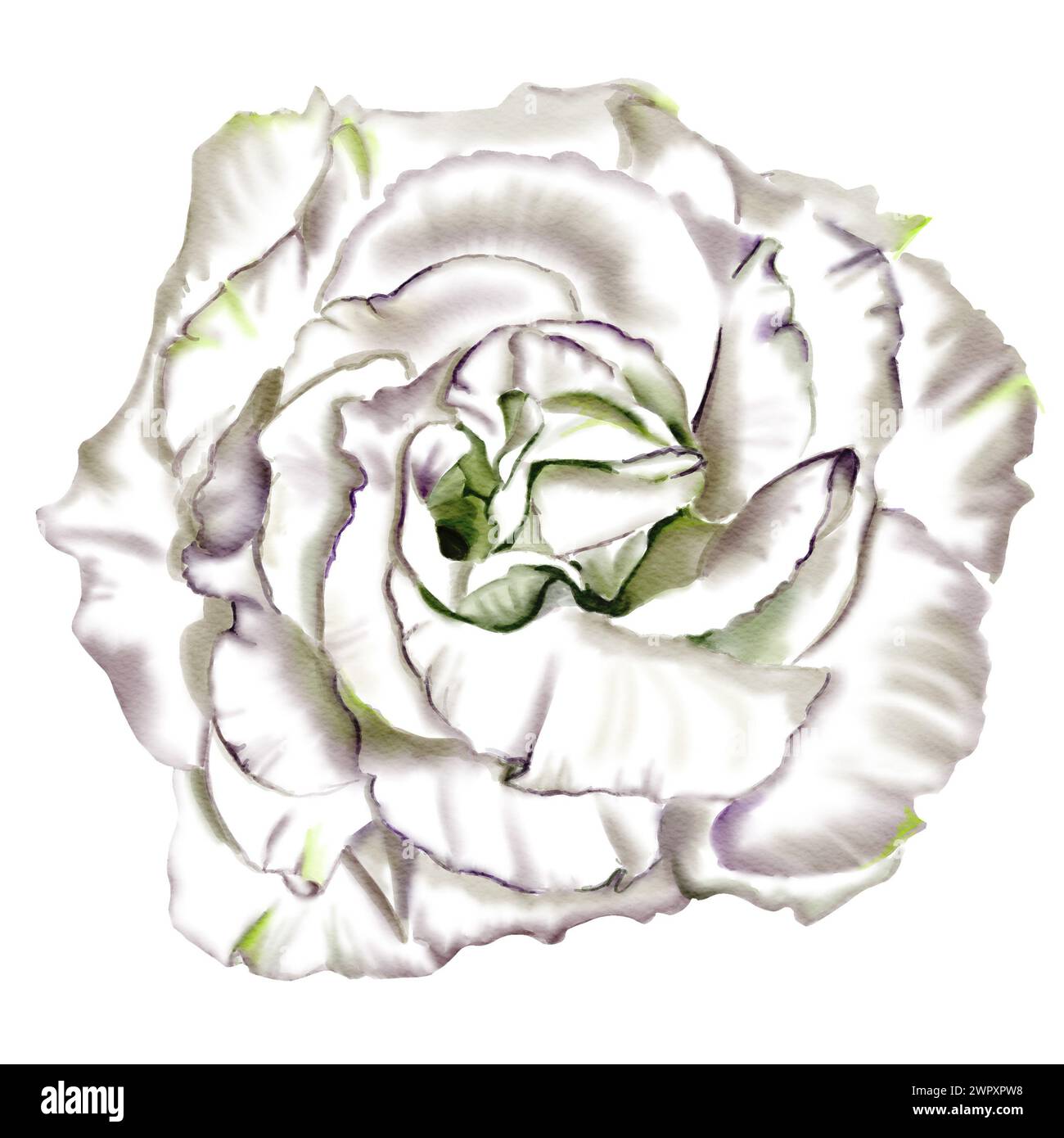 Rose flowers wedding Cut Out Stock Images & Pictures - Alamy