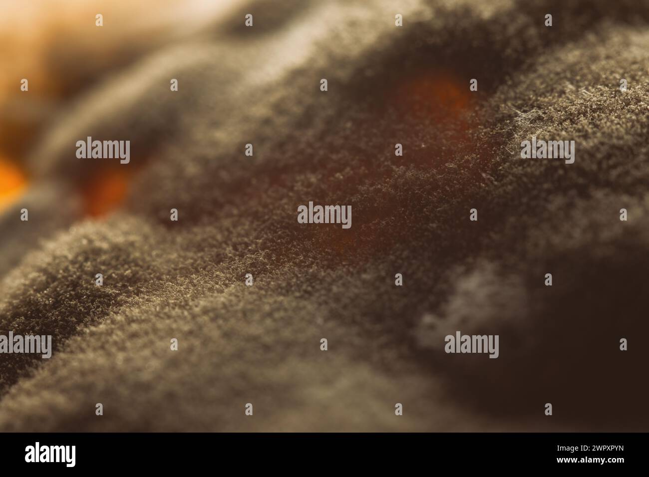 Disgusting mold on food hi-res stock photography and images - Alamy