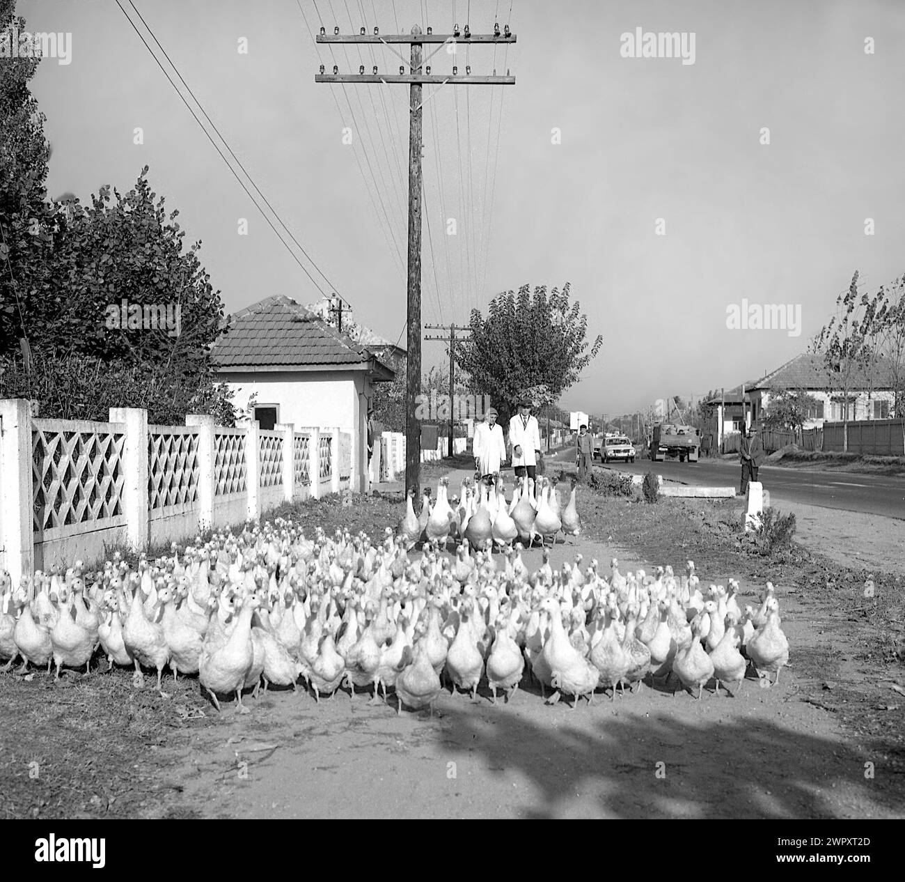 State agricultural cooperative in communist Romania, in the 1970s ...