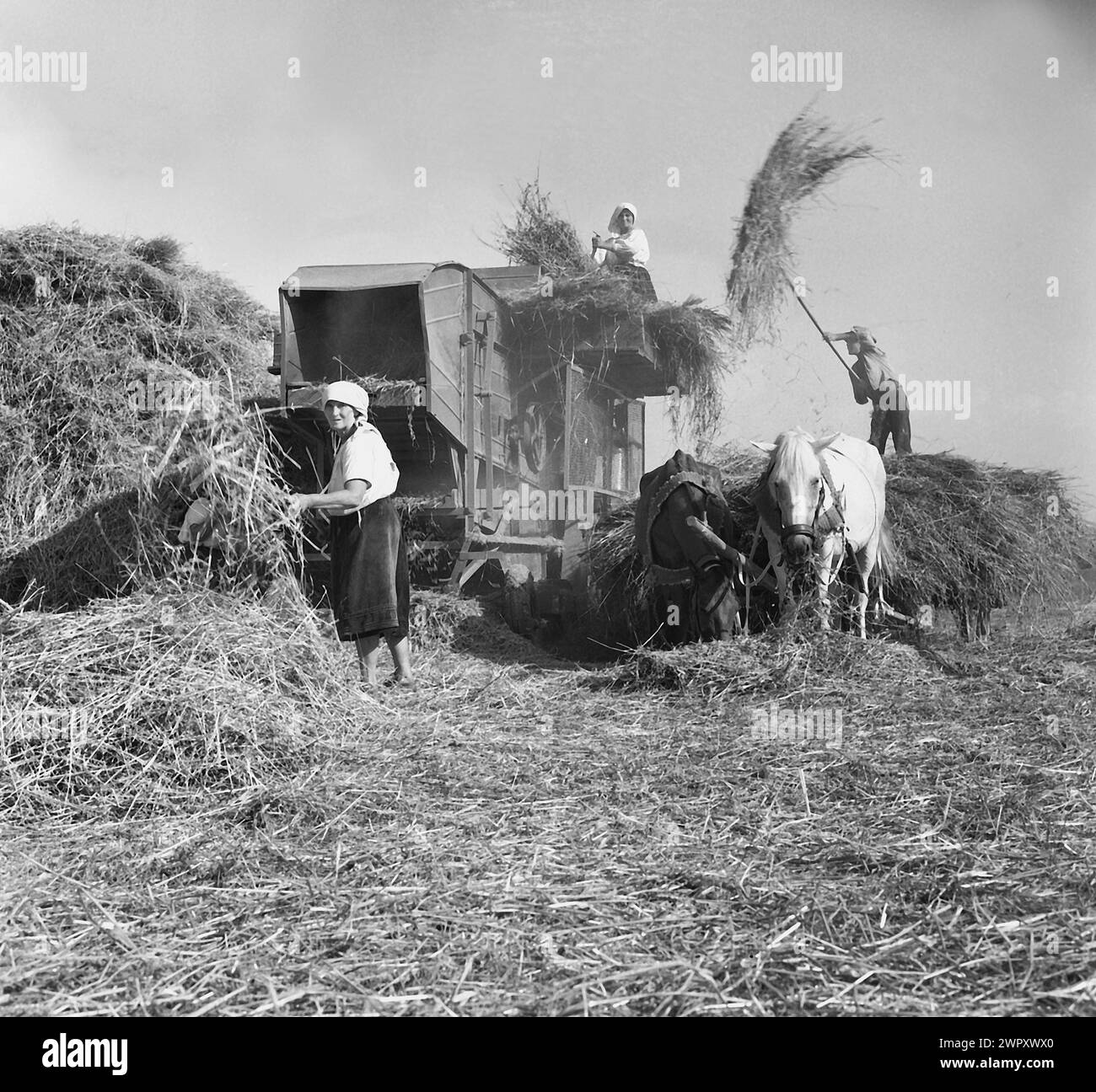Old winnowing machine Black and White Stock Photos & Images - Alamy