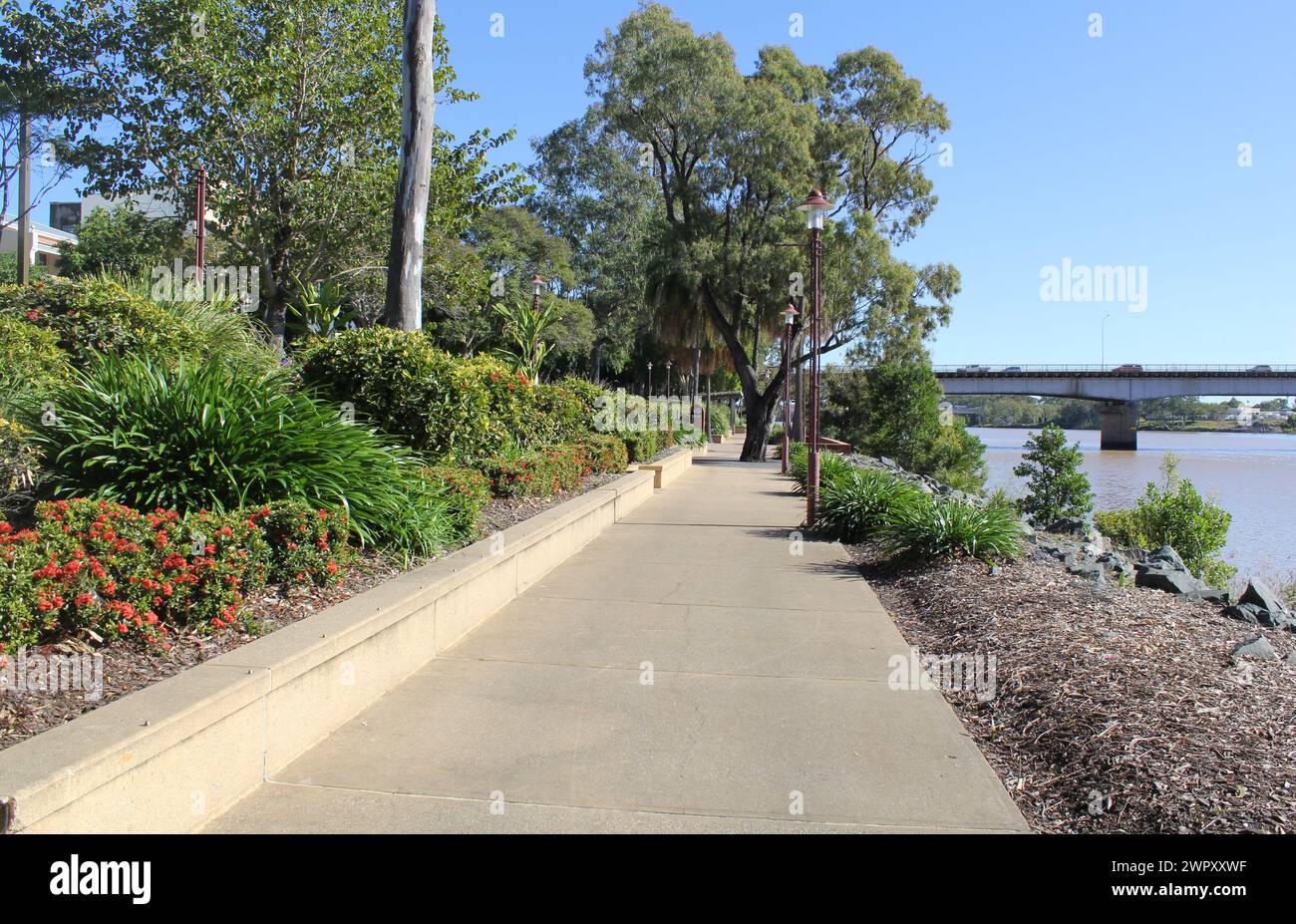View of the Rockhampton waterfront gardens with the Fitzroy River and ...