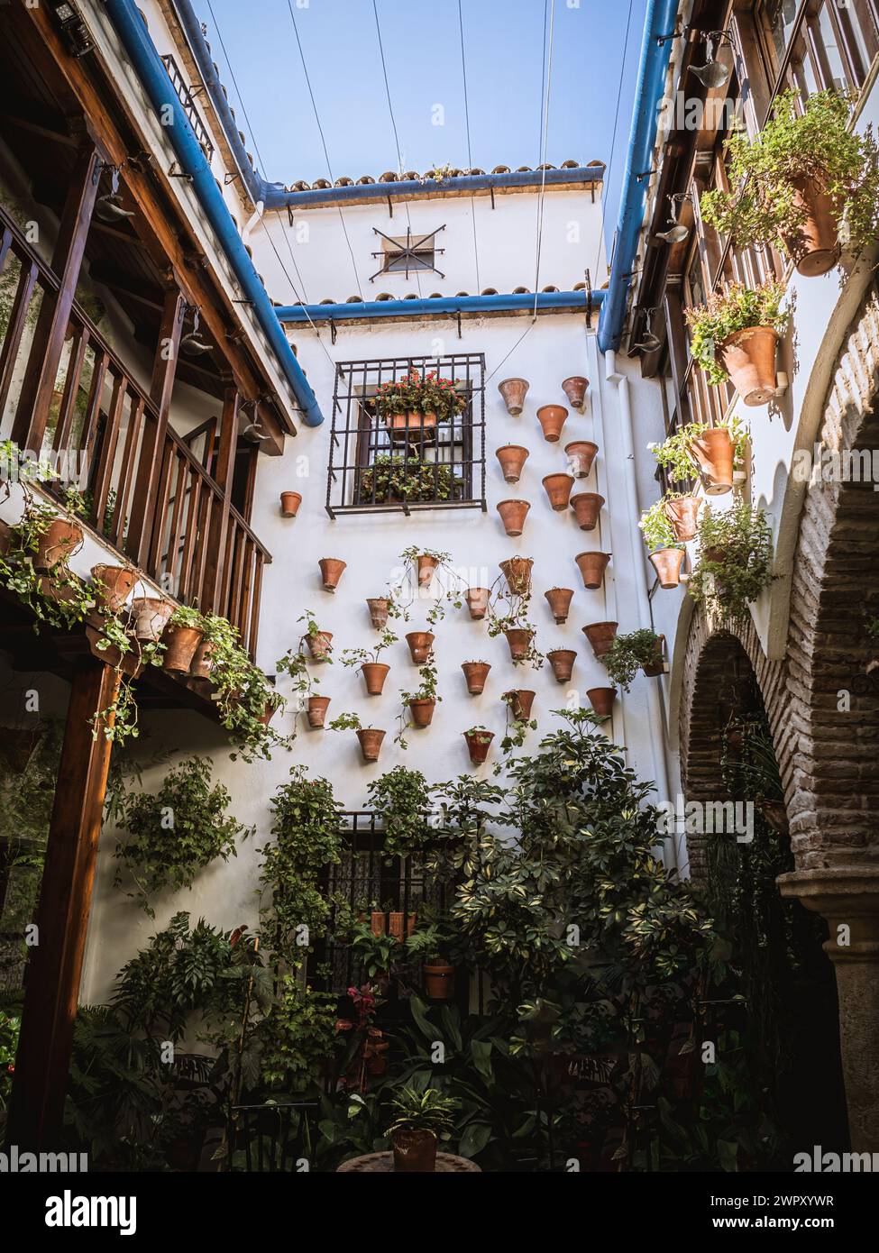 Typical courtyard patio in Cordoba, Spain, with hundreds of potted ...