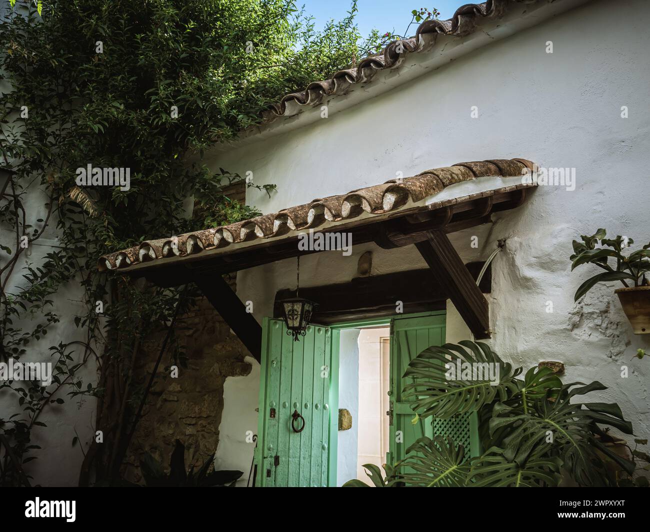 Typical courtyard patio in Cordoba, Spain, with hundreds of potted ...