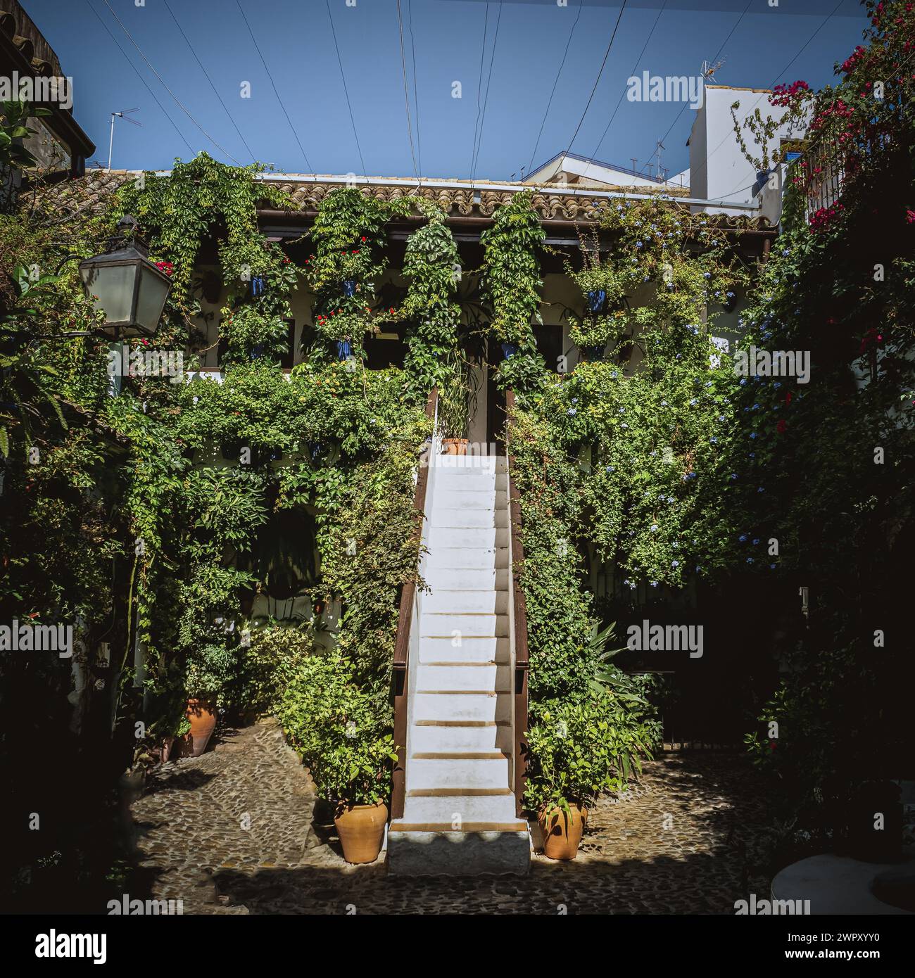 Typical courtyard patio in Cordoba, Spain, with hundreds of potted ...