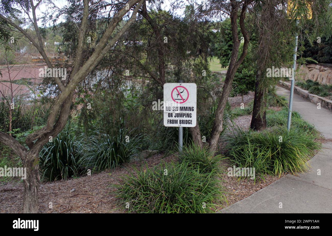"No swimming or diving from bridge" sign in a park with trees and ...