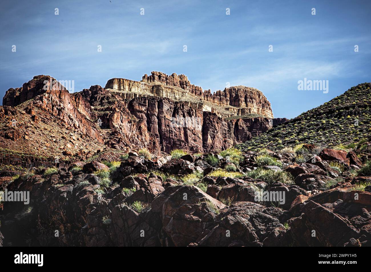The steep walls and rock layers rise all along the Colorado River in ...