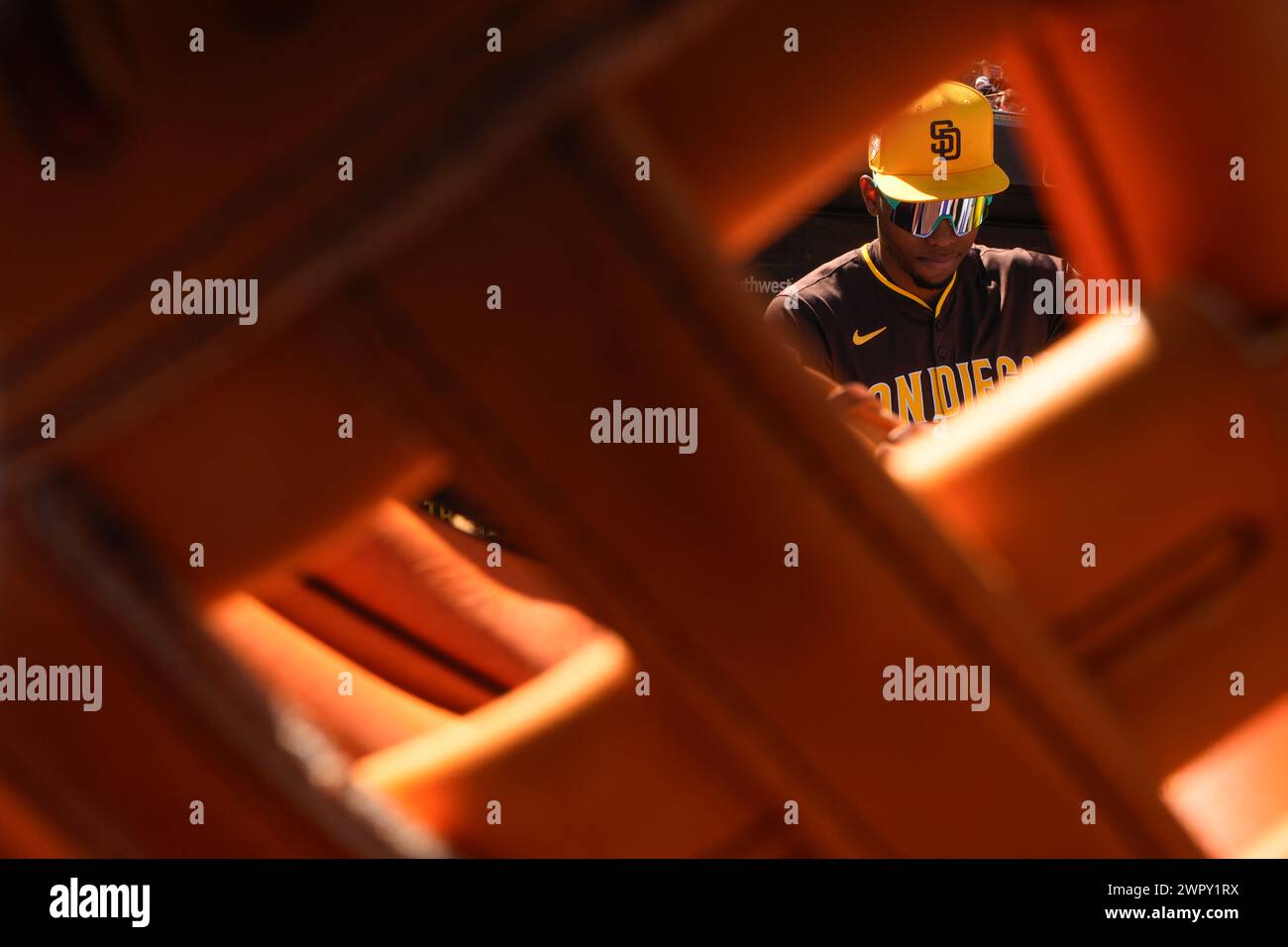 San Diego Padres' José Azocar is seen through a glove on the dugout ...