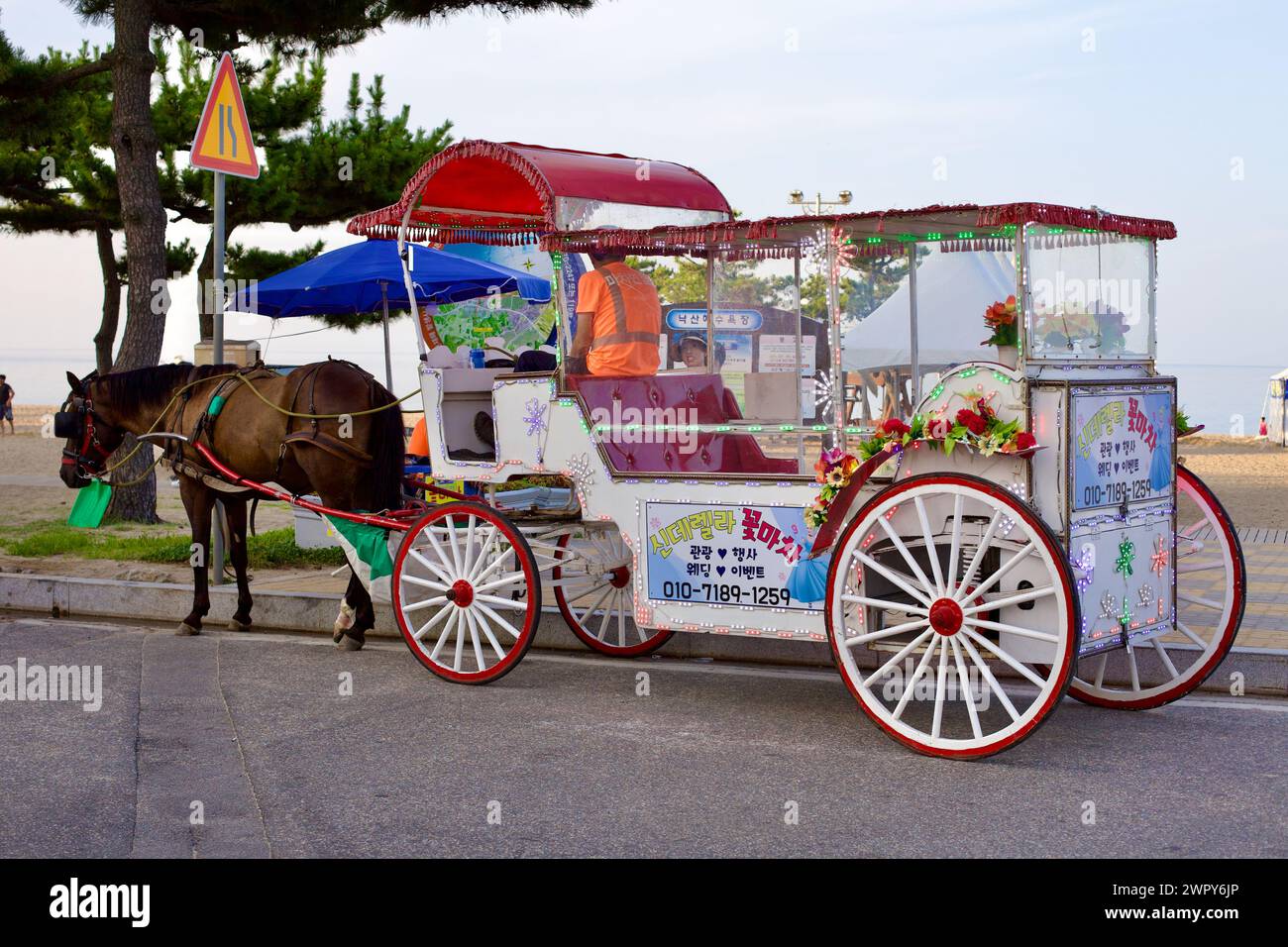 Horse drawn carriage on beach hi-res stock photography and images - Alamy