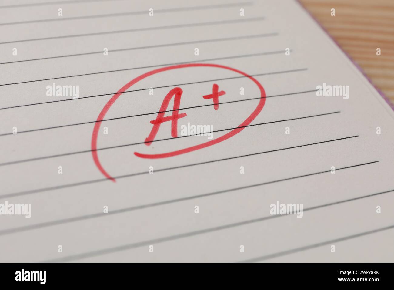 School grade. Red letter A with plus symbol on notebook paper, closeup ...