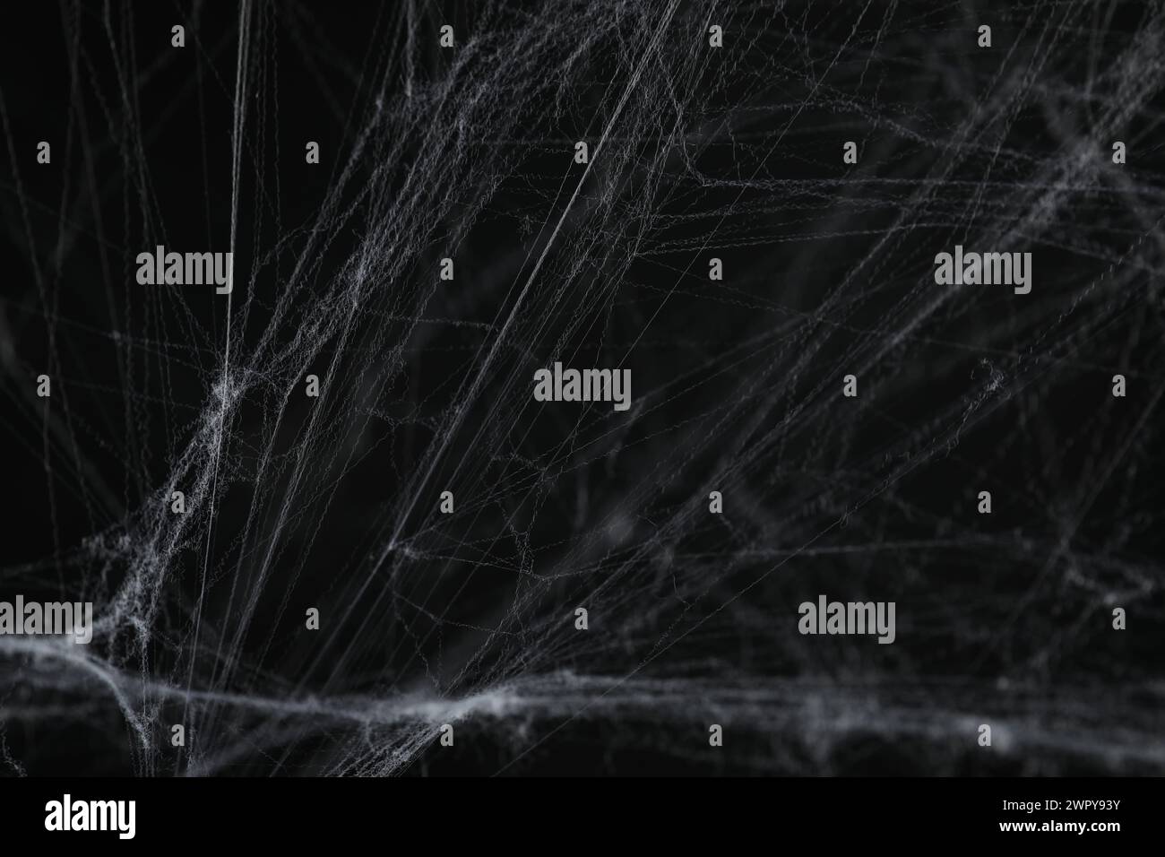 Creepy white cobweb on black background, closeup Stock Photo - Alamy