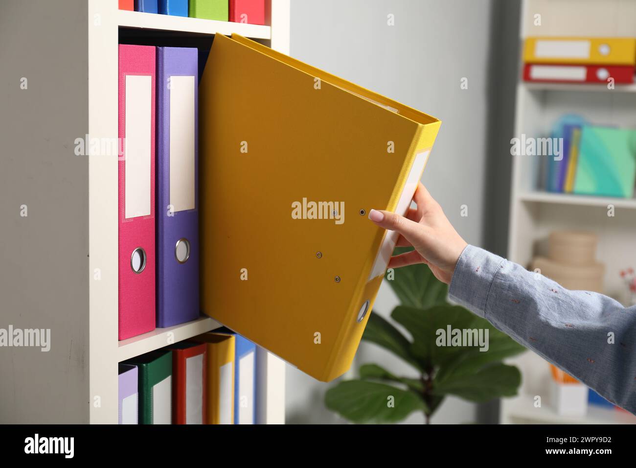 Woman taking binder office folder from shelving unit indoors, closeup ...