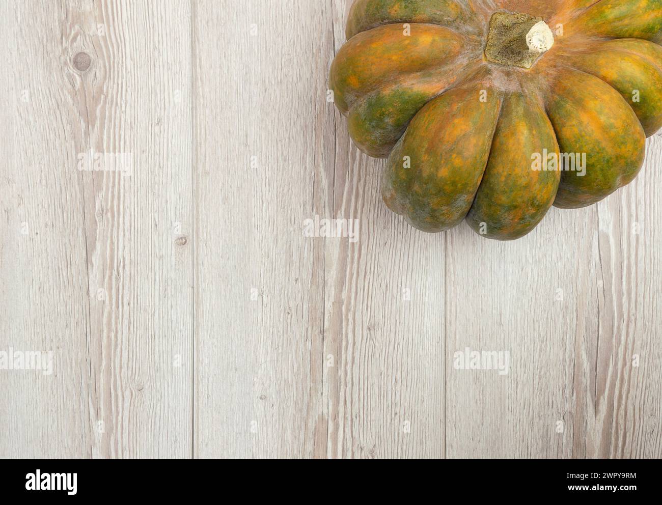Pumpkin. Autumn mockup. Autumn composition, fall concept. Flat lay, top ...
