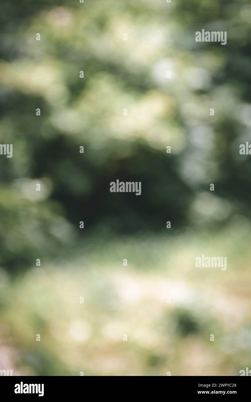 Blurred natural green background. Summer garden. Walk through the ...