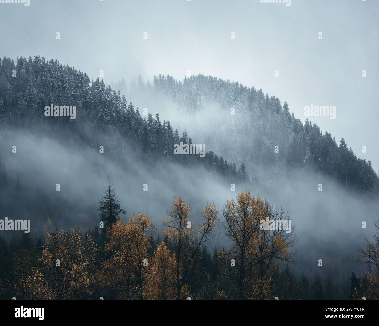 Dark clouds foggy washington hi-res stock photography and images - Alamy