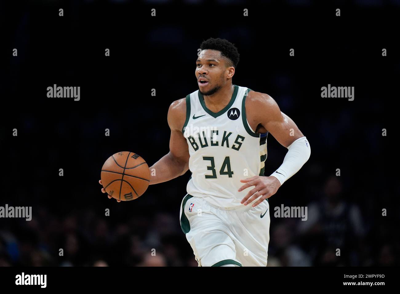 Milwaukee Bucks forward Giannis Antetokounmpo (34) dribbles during the ...