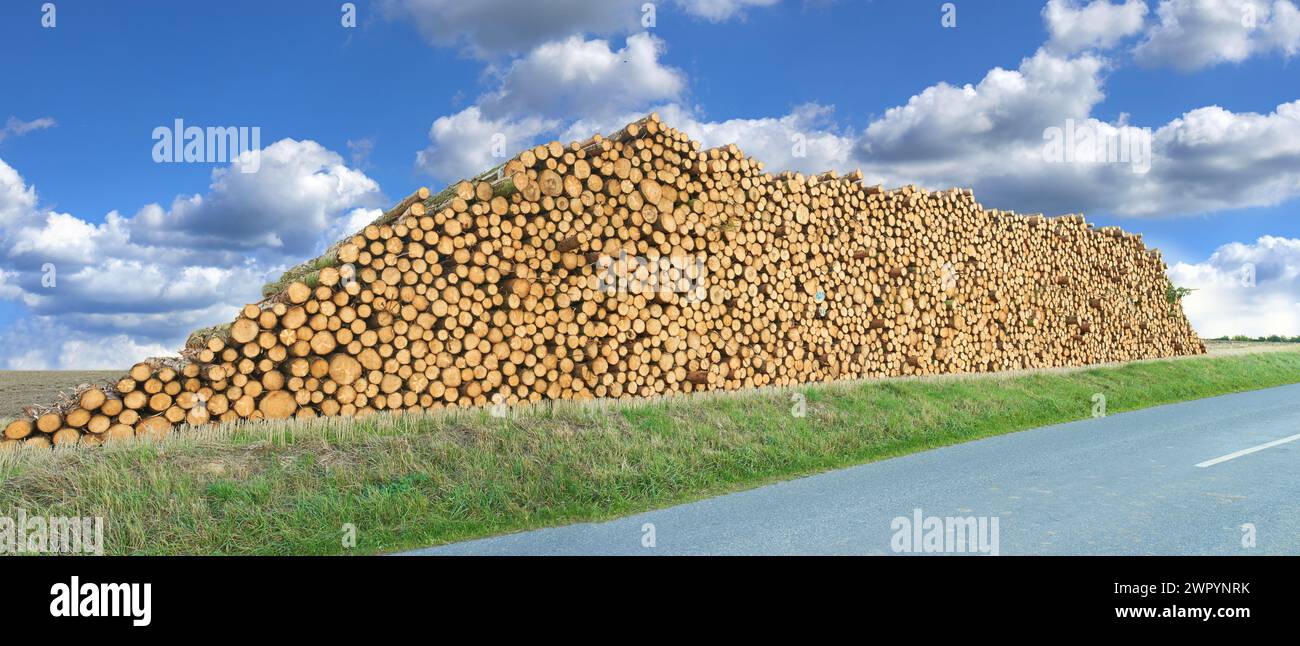Log, timber and stack of wood on a road with forest, trees and nature ...