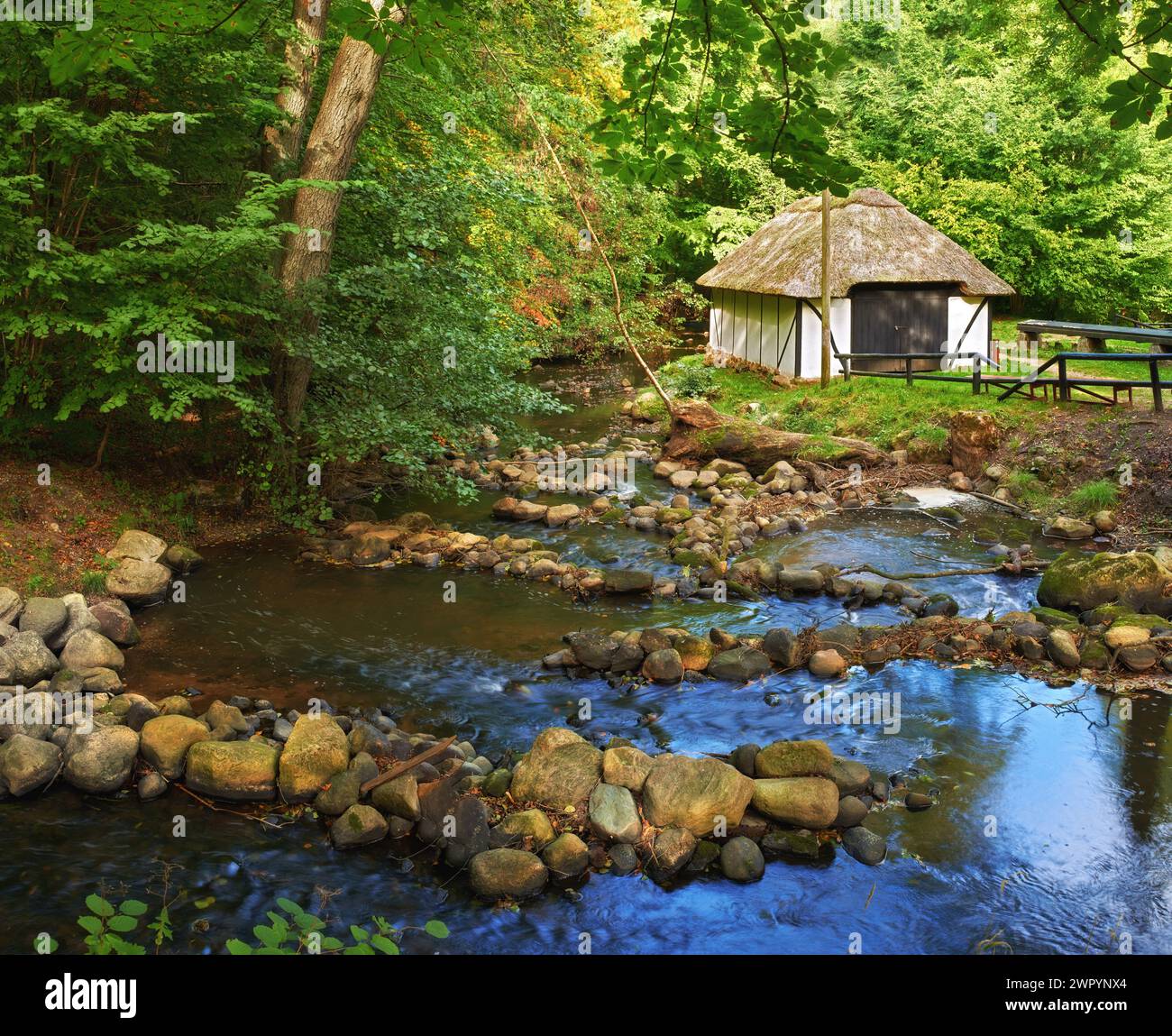 Countryside, forest and river with vintage cabin in nature with bushes ...